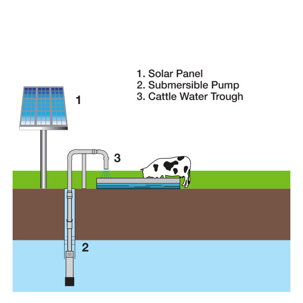 PD Water Systems